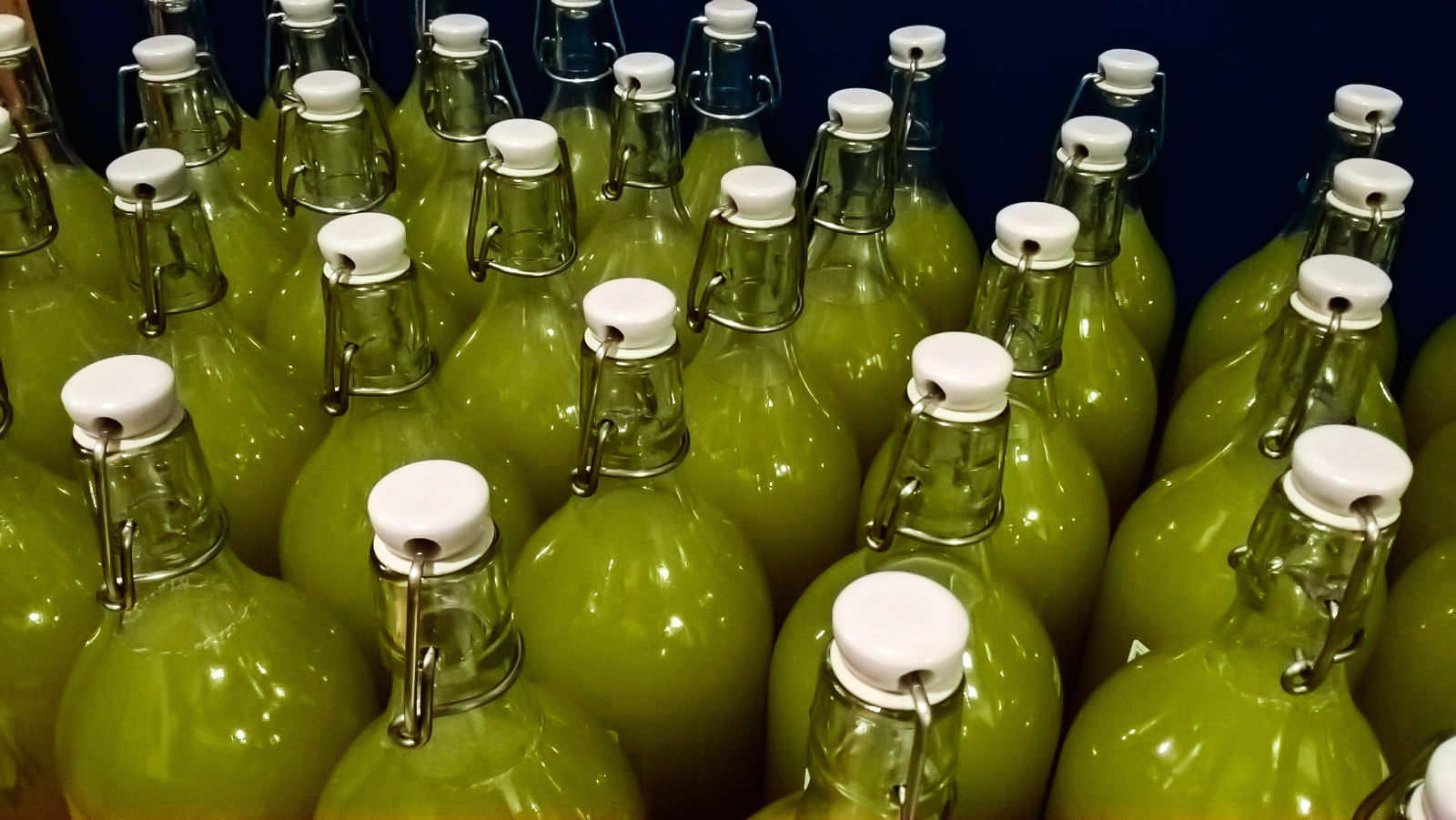 Olio nuovo – Civitanova Marche